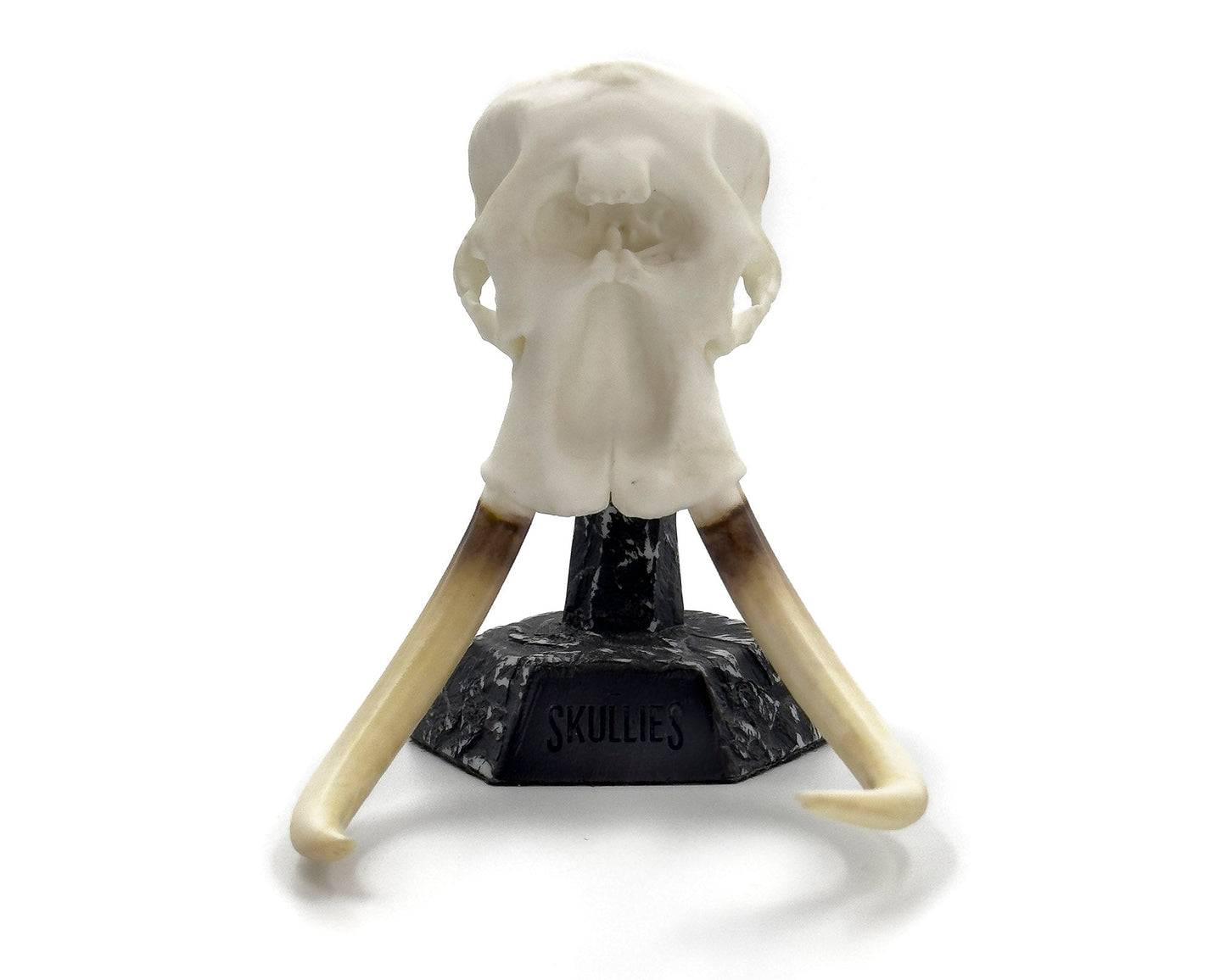 Resin Skullies - Miniature Replica Elephant Skull