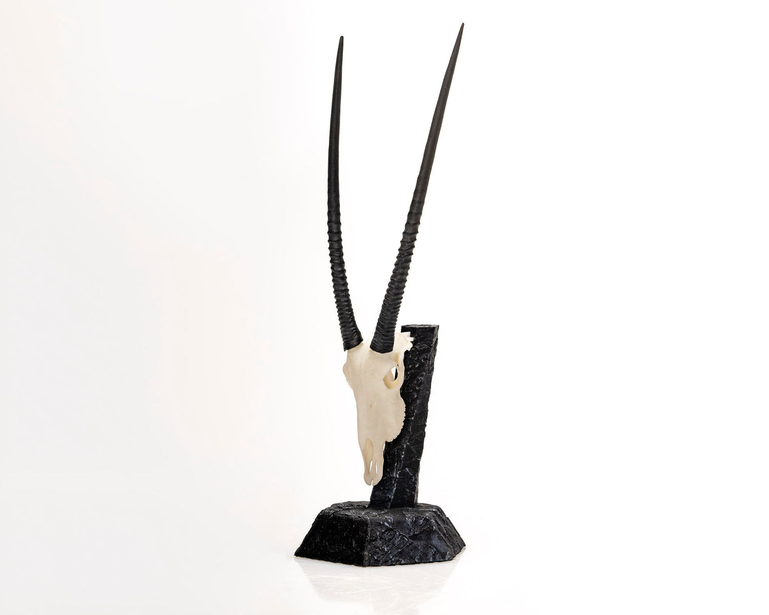 Skullies | Africa’s Original Collectable Mini Skulls