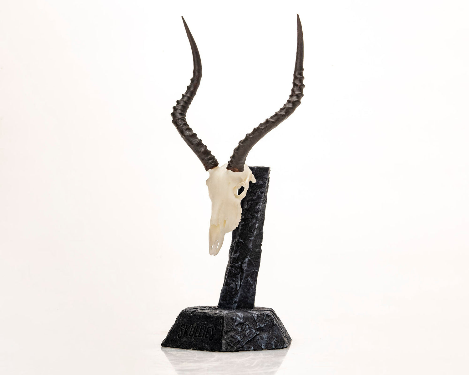 Skullies | Africa’s Original Collectable Mini Skulls