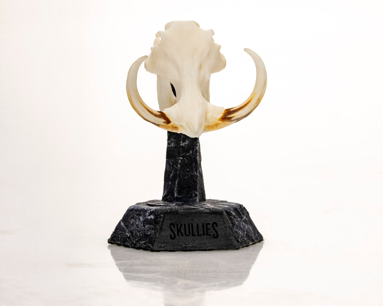 Skullies | Africa’s Original Collectable Mini Skulls
