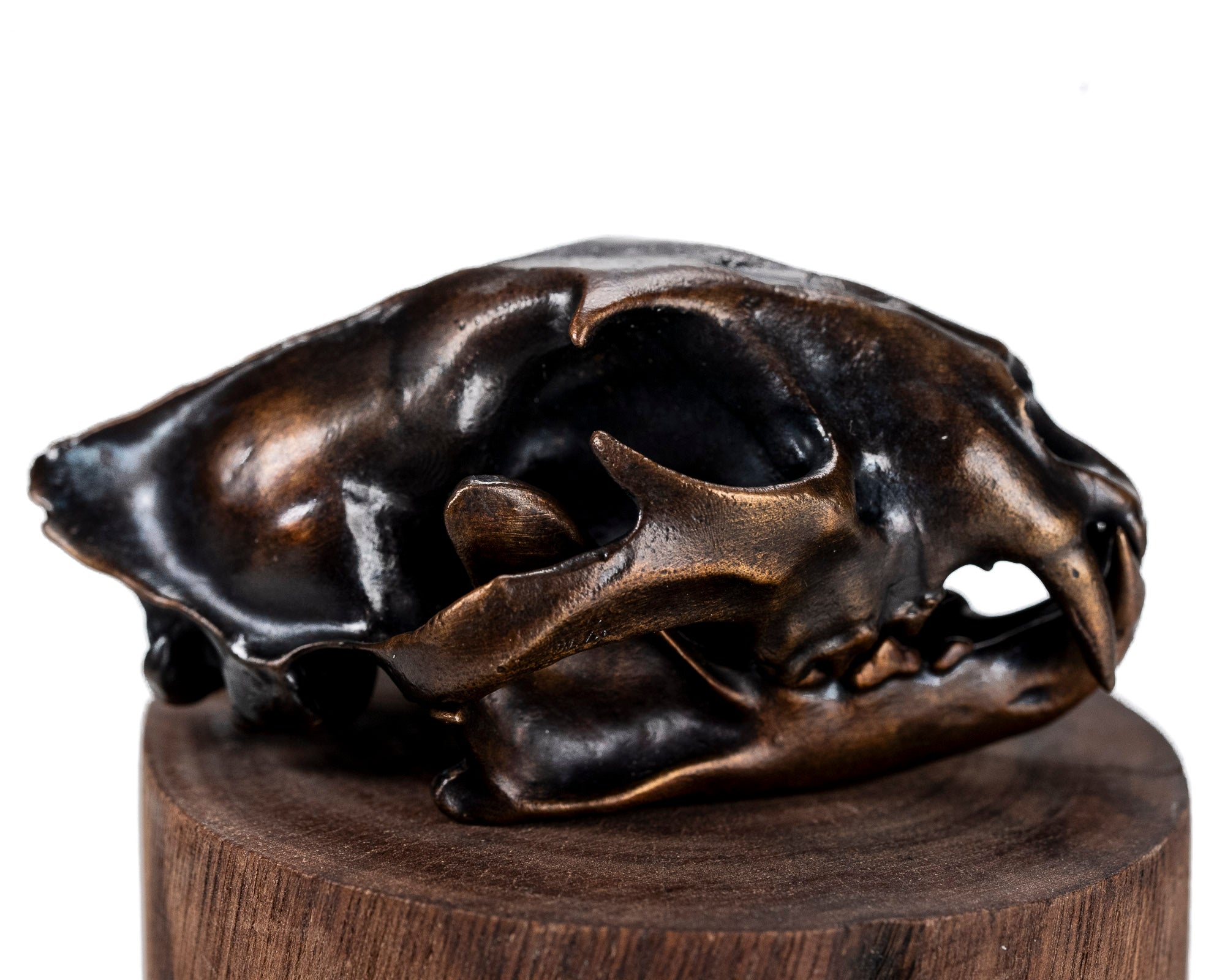 Bronze Skullies - Miniature Replica Leopard Skull | Skullies