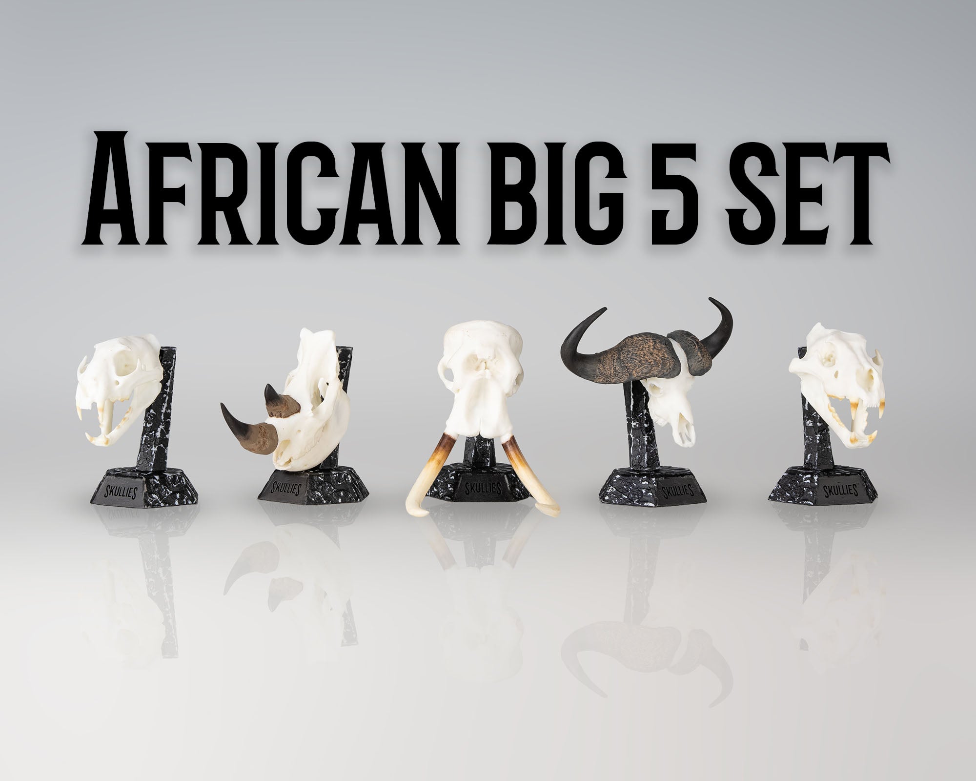Resin Skullies - Collectable Miniature Skulls - African Big 5 Set ...