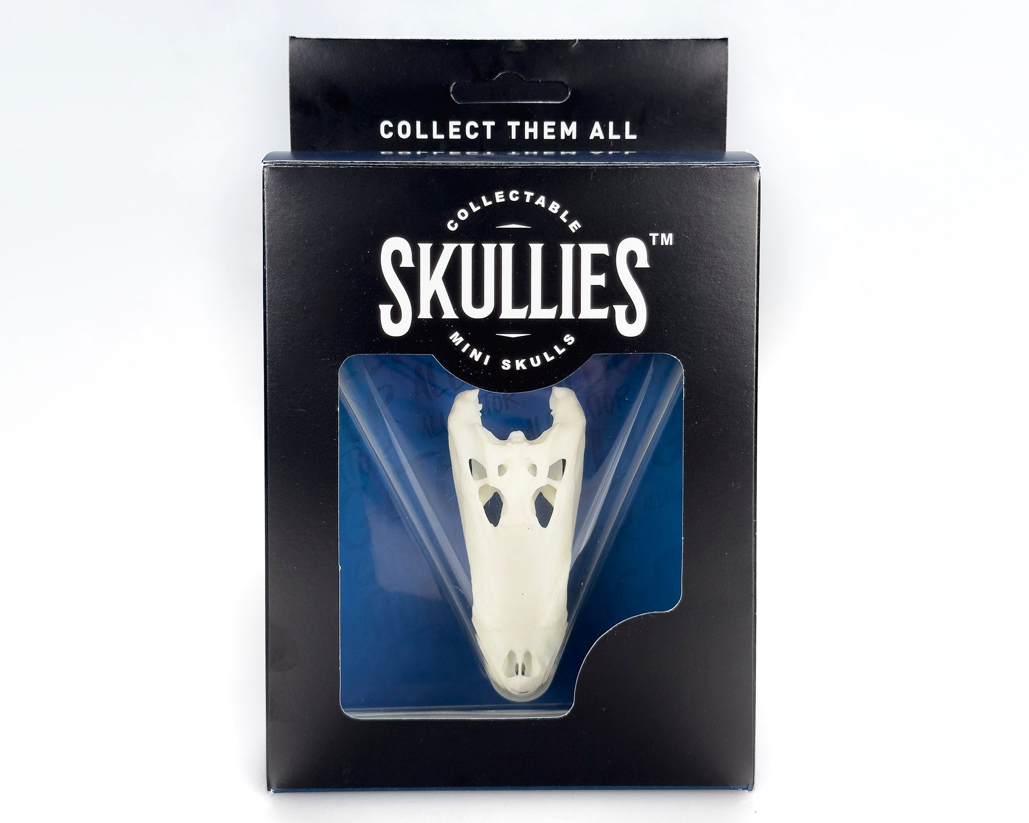 Resin Skullies - Miniature Replica Alligator Skull | Skullies