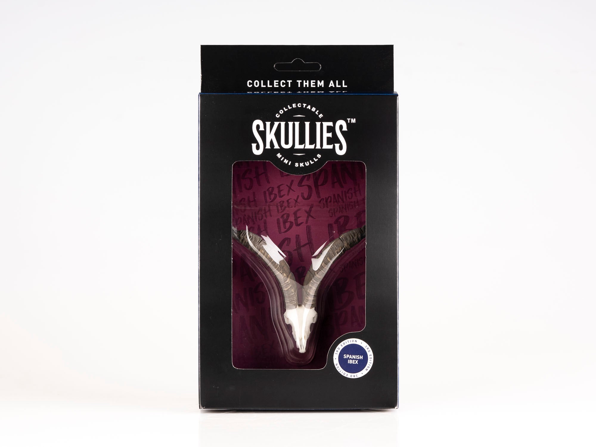 Resin Skullies - Miniature Replica Spanish Ibex Skull | Skullies